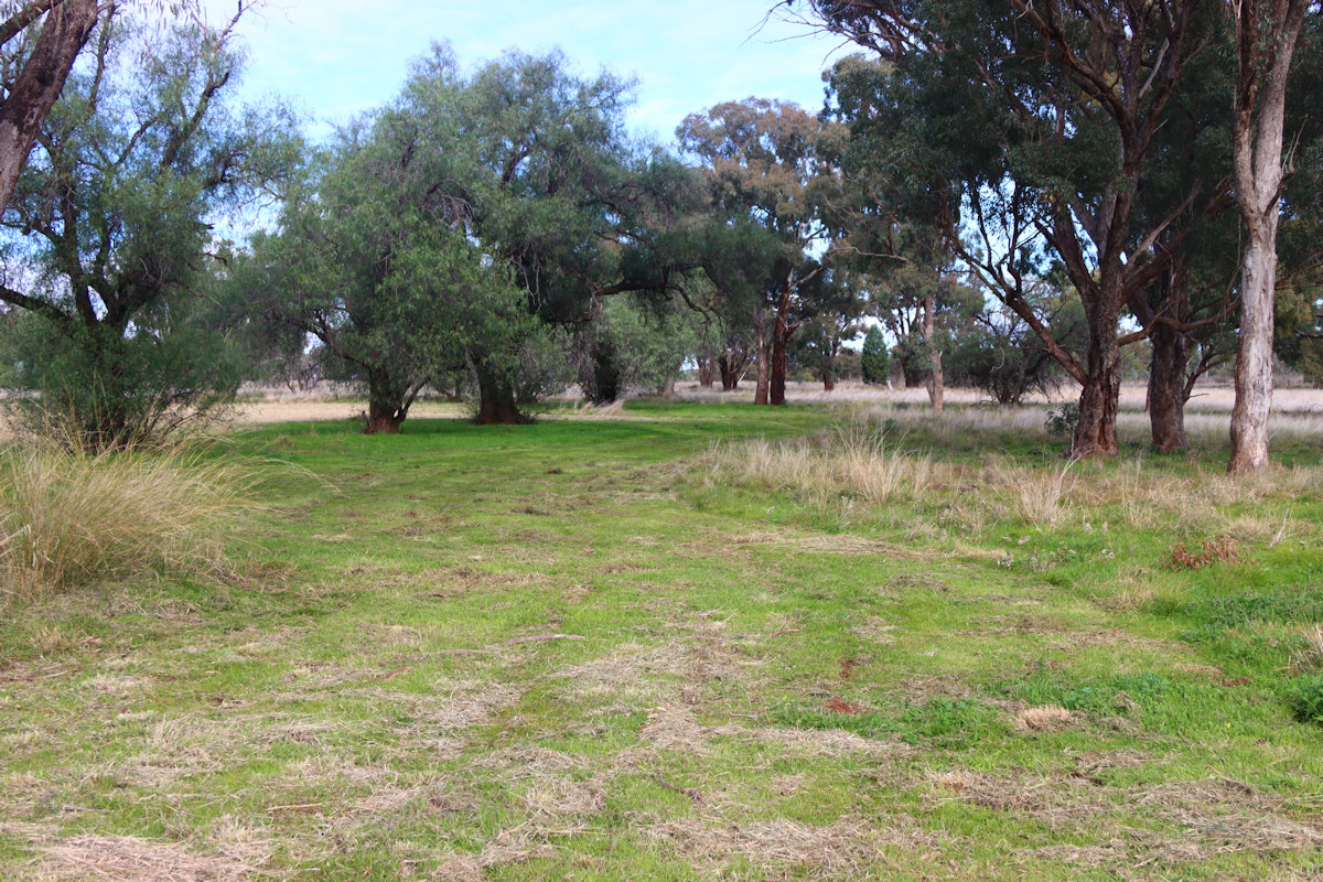 NEW budget camp: Alectown Rec Ground, New South Wales - Camps Australia ...