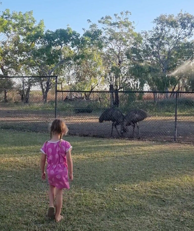 Bark Hut Inn, Northern Territory - Camps Australia Wide