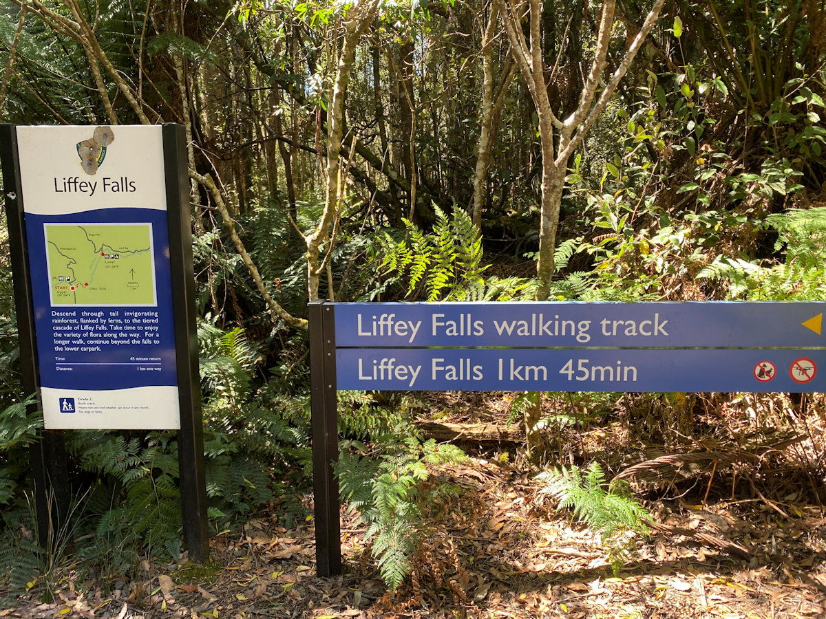 Free camp at Liffey Falls, Tasmania - Camps Australia Wide