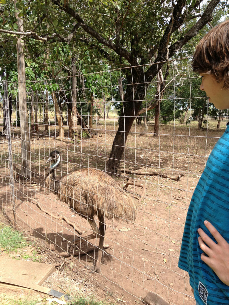 Bark Hut Inn, Northern Territory - Camps Australia Wide