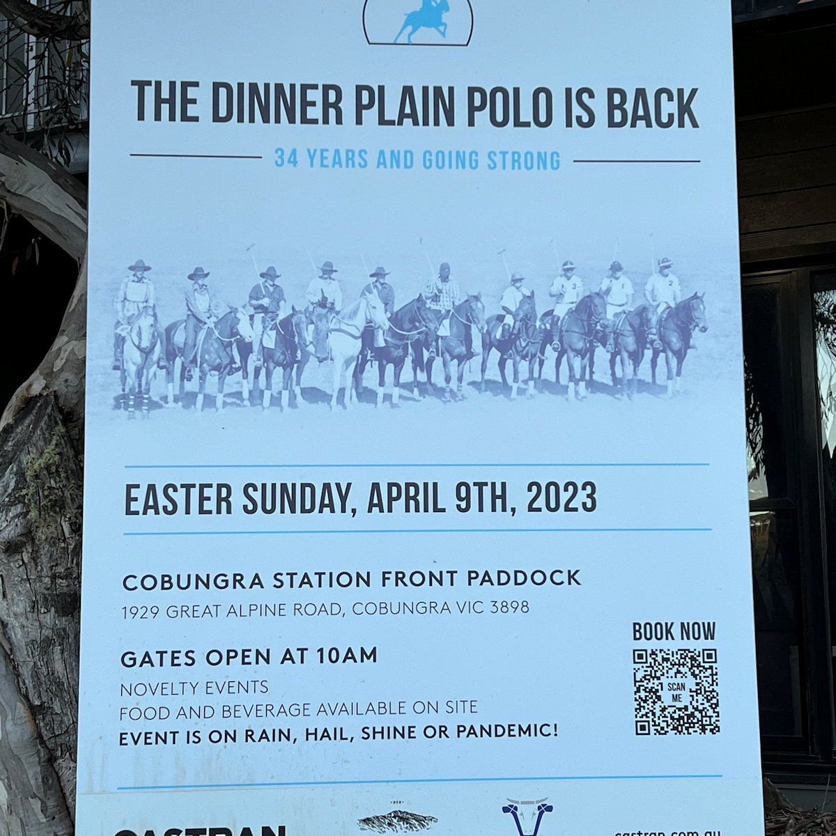 Dinner Plain Polo Easter weekend, Victoria - Camps Australia Wide
