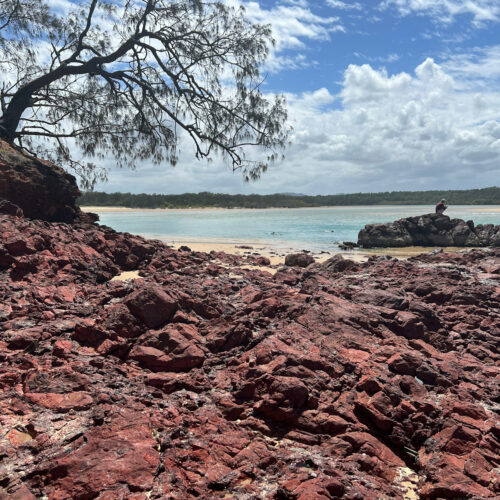 Must see: Red Rock Beach, NSW - Camps Australia Wide