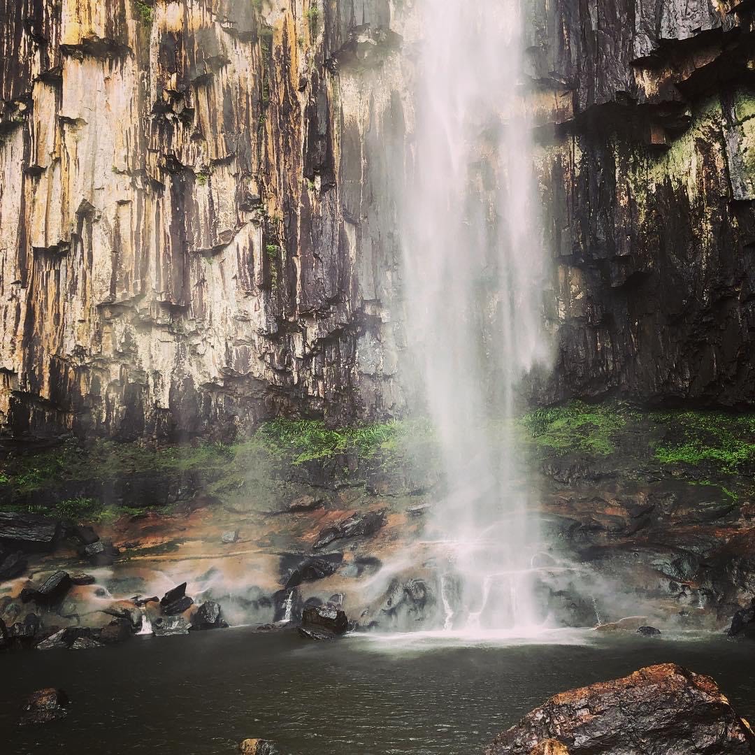 Visit Minyon Falls and Rummery Park Camping Grounds, Nightcap National ...