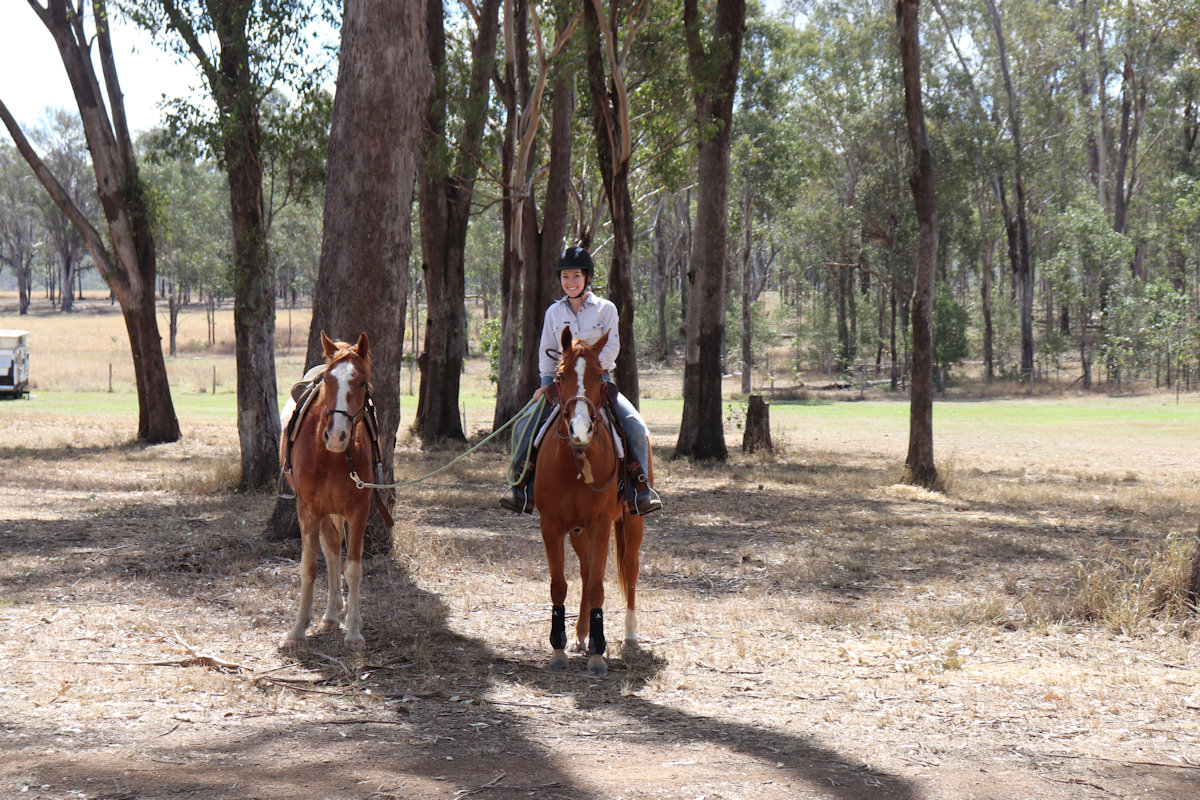 Showground campground with a bar at Widgee, Queensland - Camps ...