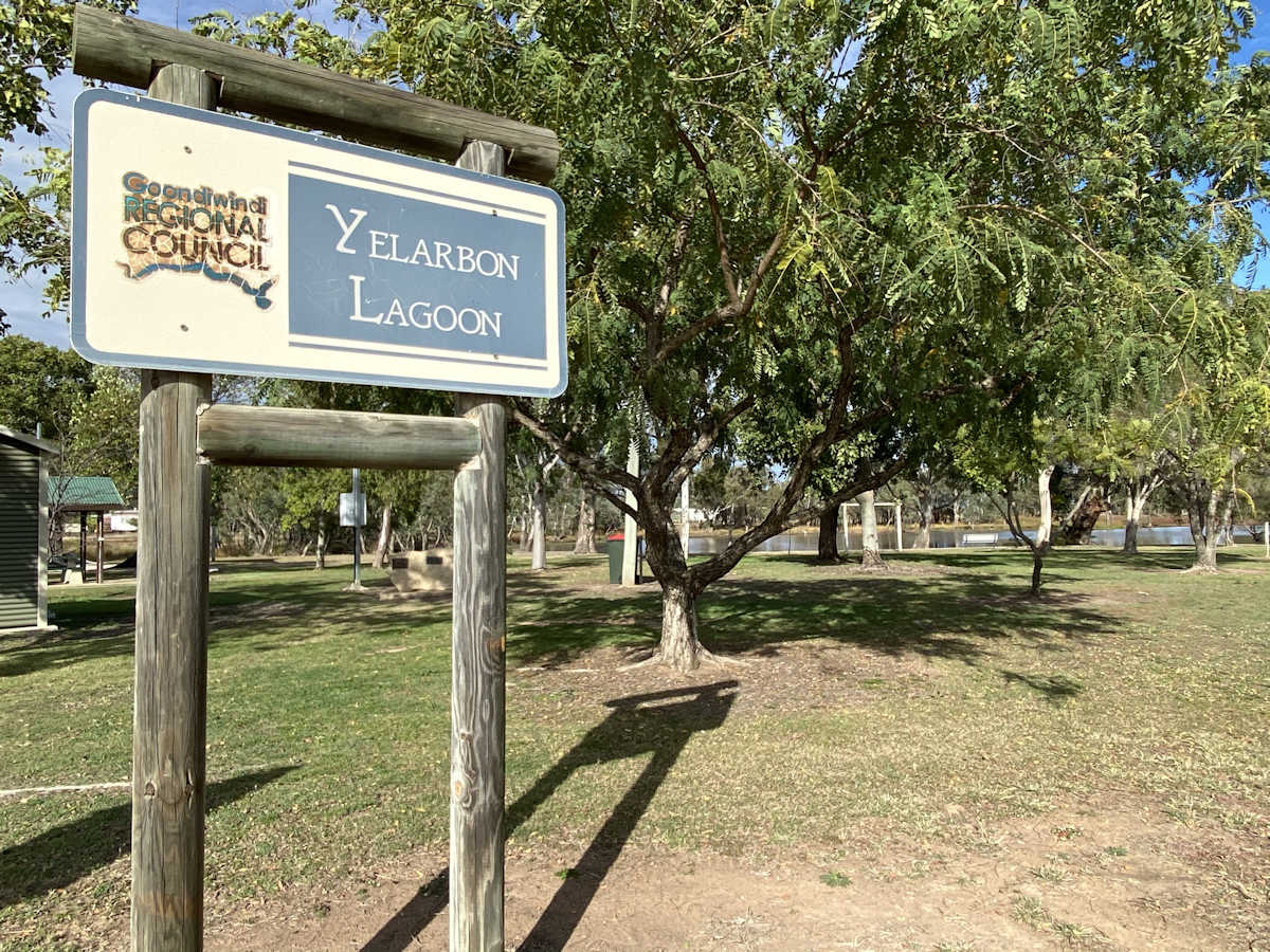 Favourite pet-friendly campground: Yelarbon Rec Ground, Queensland ...