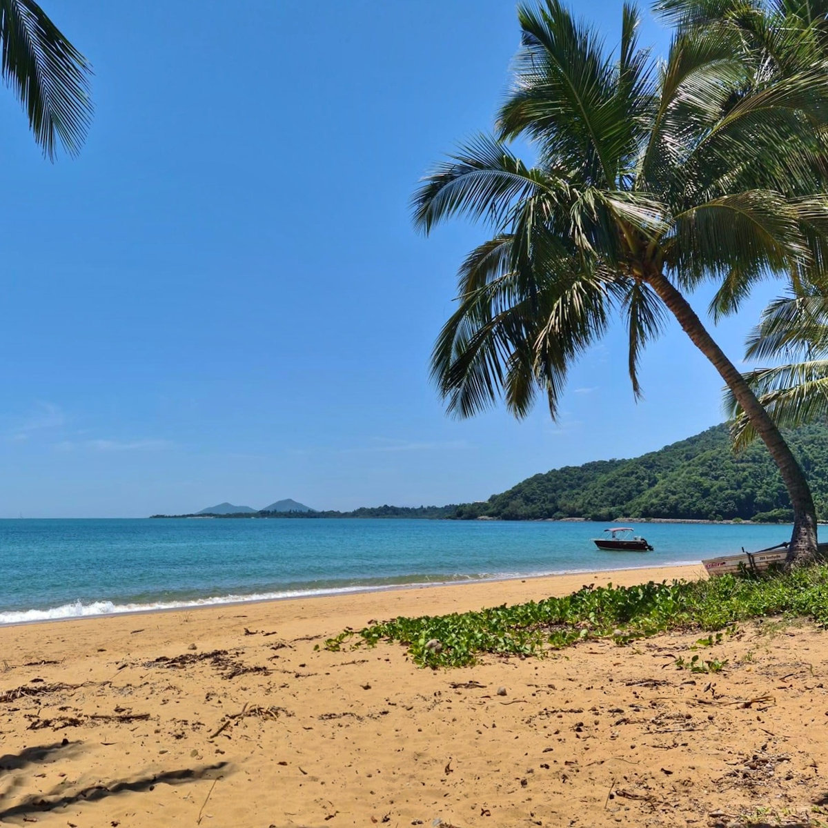 NEW Managers: Bingil Bay Campground, QLD - Camps Australia Wide