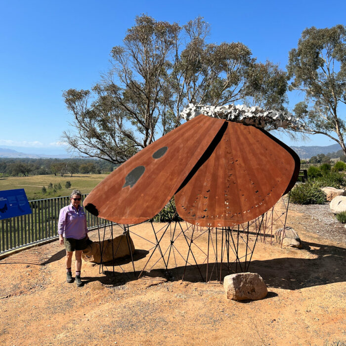 Tour the Great River Road - Camps Australia Wide