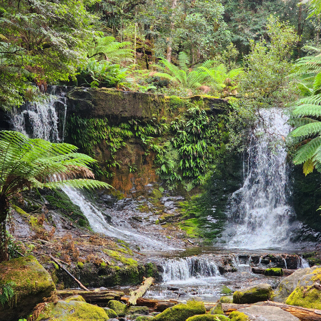 Mount Field Campground in Tasmania - Camps Australia Wide