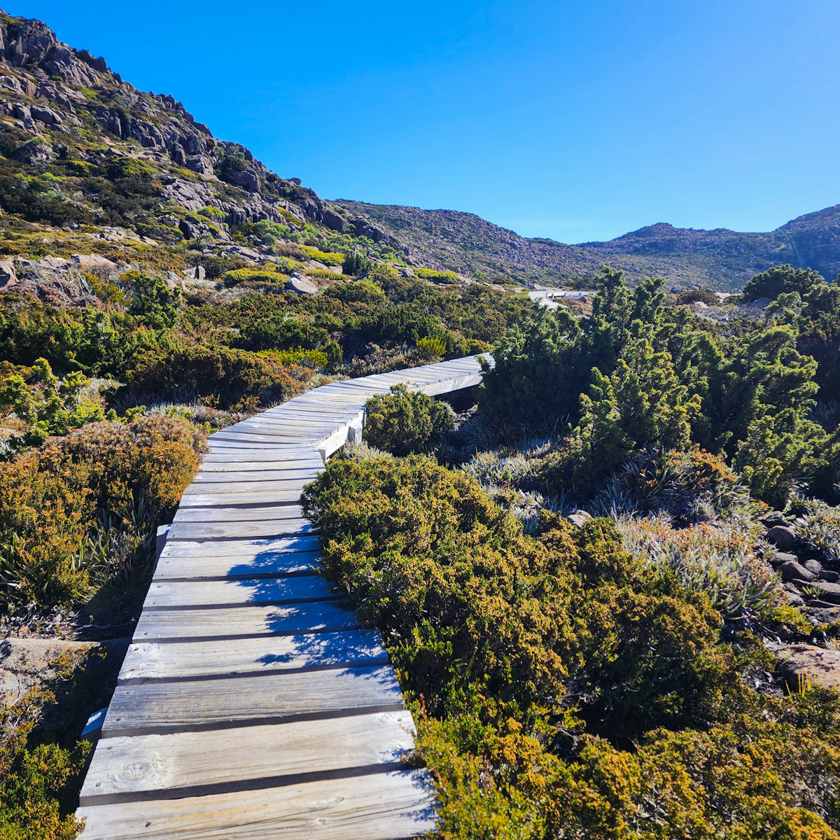 Mount Field Campground in Tasmania - Camps Australia Wide
