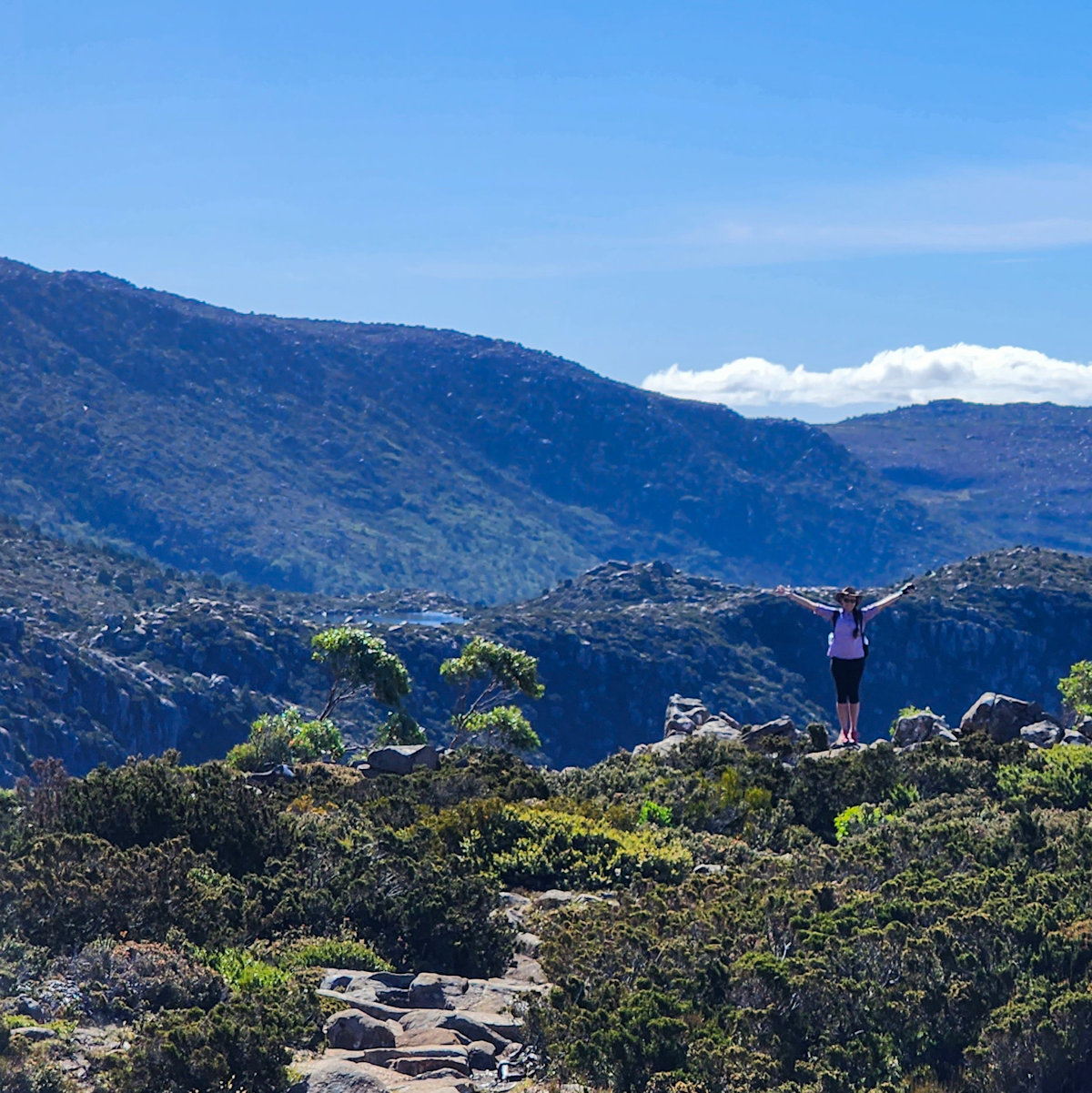 Mount Field Campground in Tasmania - Camps Australia Wide