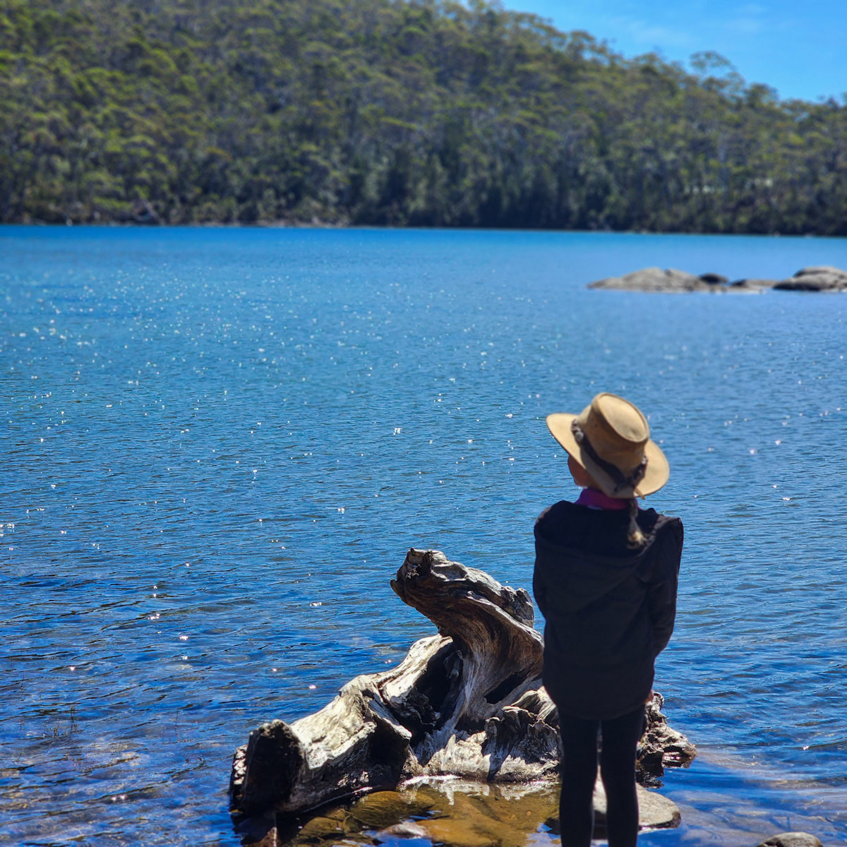 Mount Field Campground in Tasmania - Camps Australia Wide