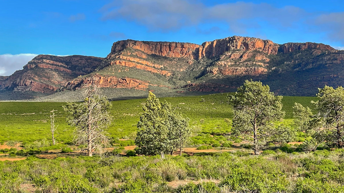 See Flinders Ranges: Rawnsley Park Station, SA - Camps Australia Wide