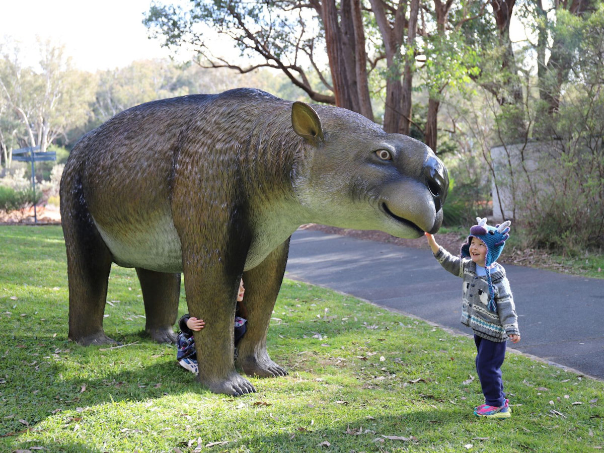 Visit MEGAfauna in Canberra, ACT - Camps Australia Wide