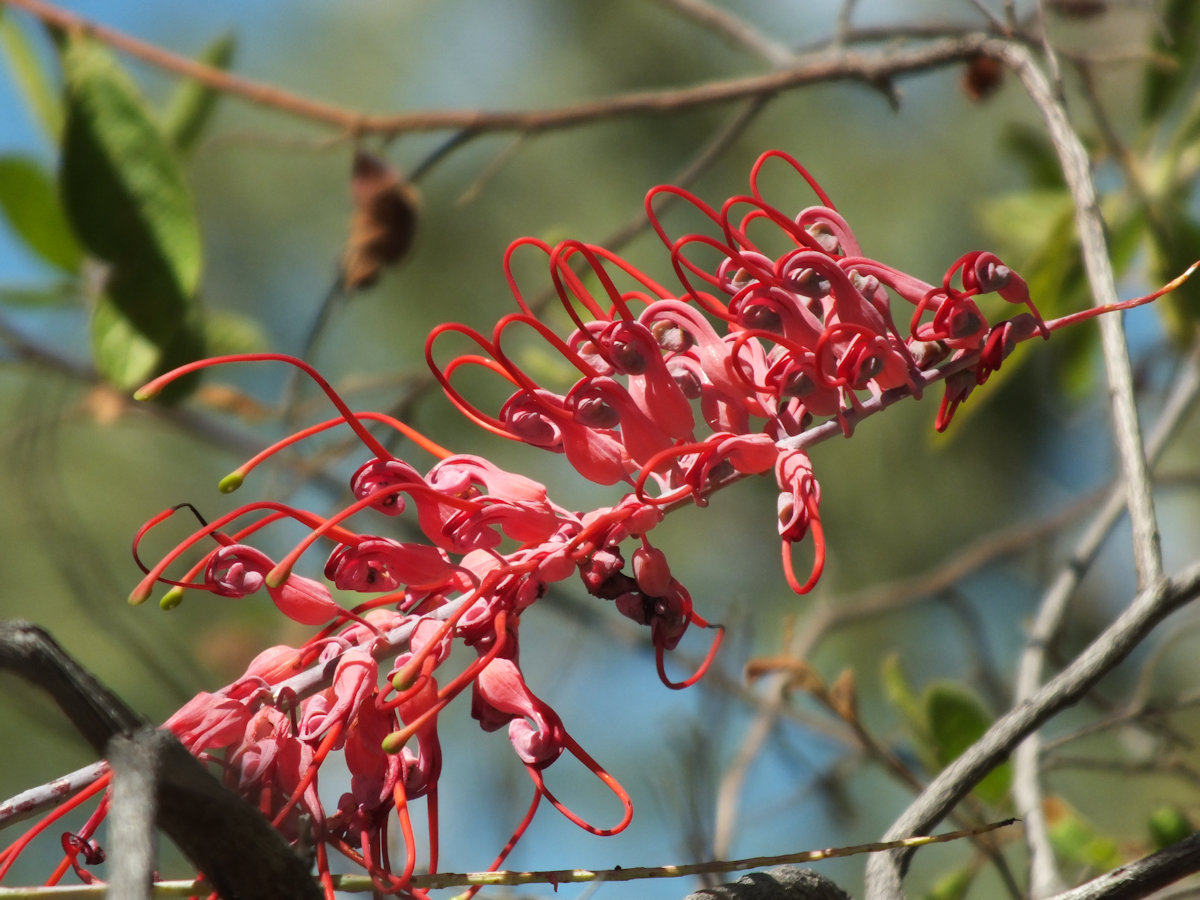 Did you know Kakadu has six seasons? - Camps Australia Wide
