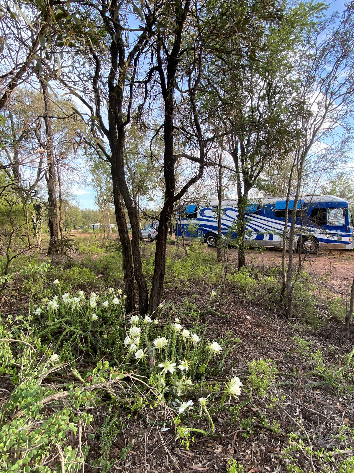 Come to a Gemfields Festival, Queensland - Camps Australia Wide