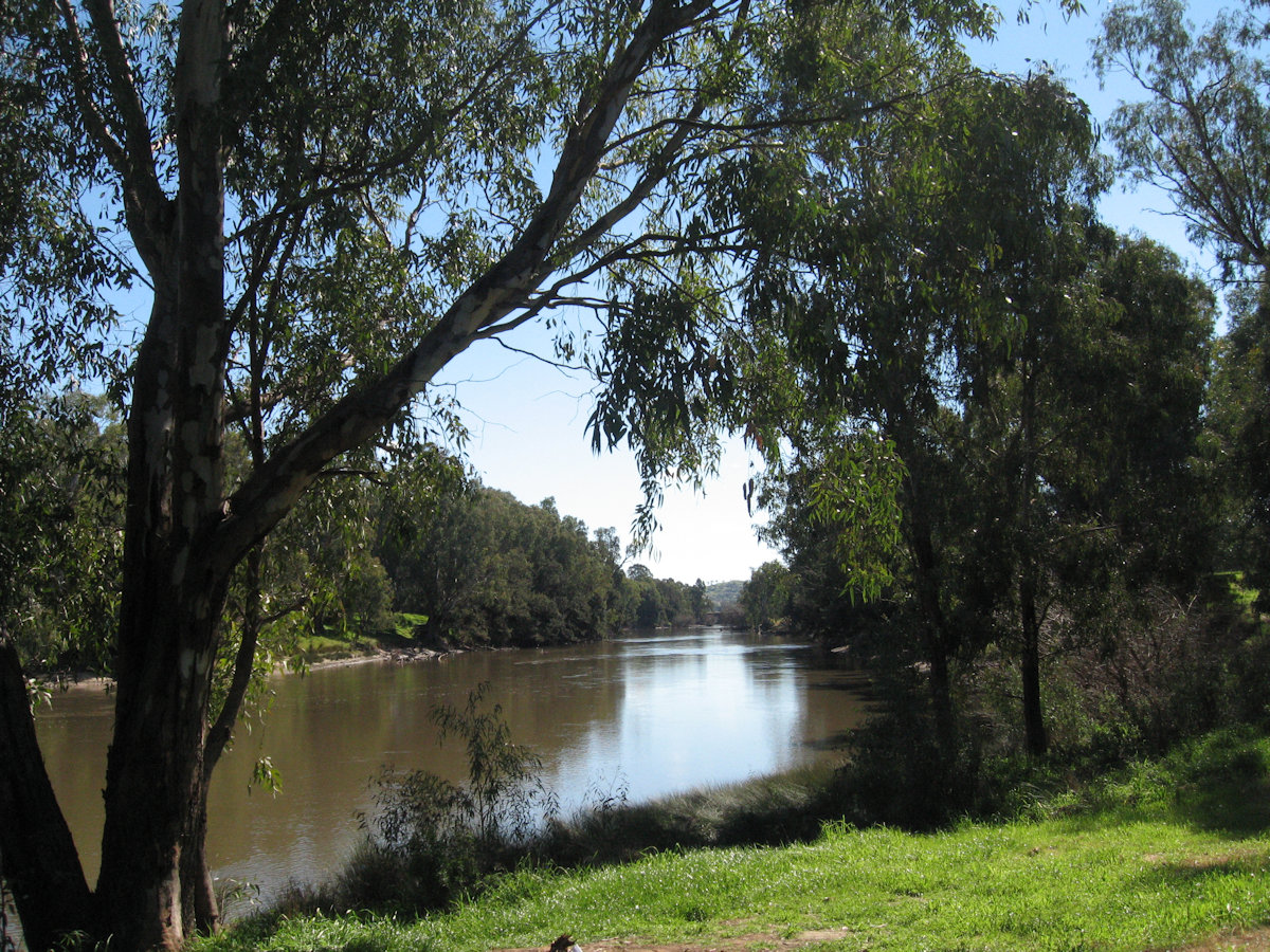 Top Camps Contributor Shares 2 Favourite Camps | Camps Australia Wide