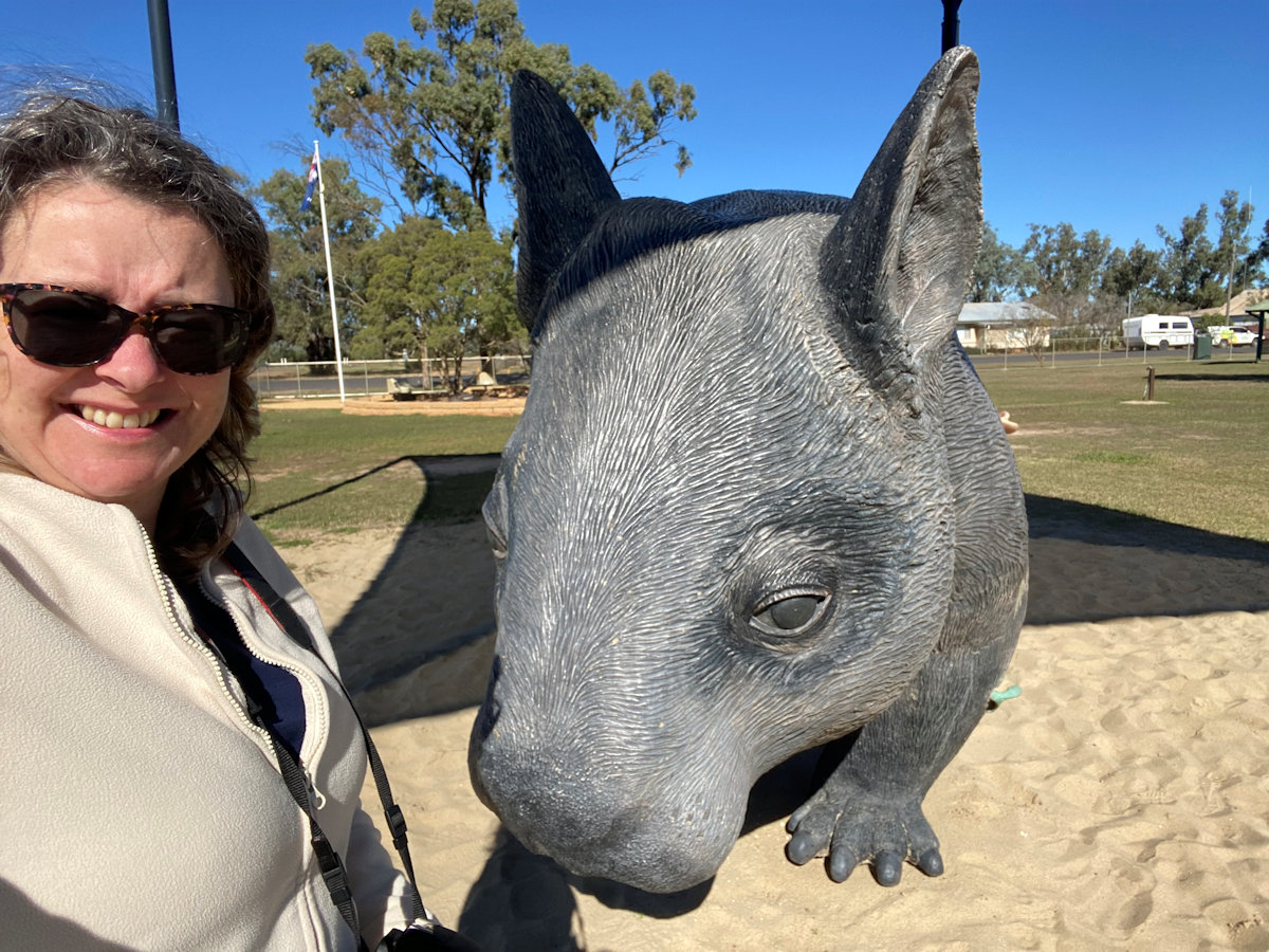 5 Best Places to Spot Wombats in Australia | Camps Australia Wide