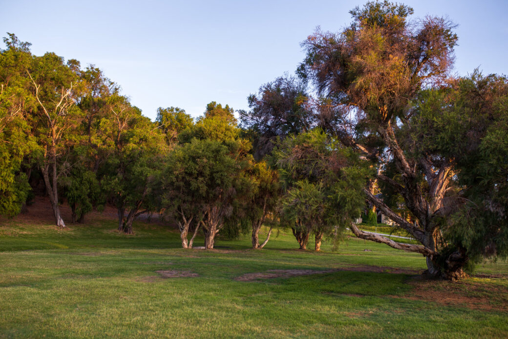 Paperbark Pond Camp: A new Farm Stay in Western Australia - Camps ...