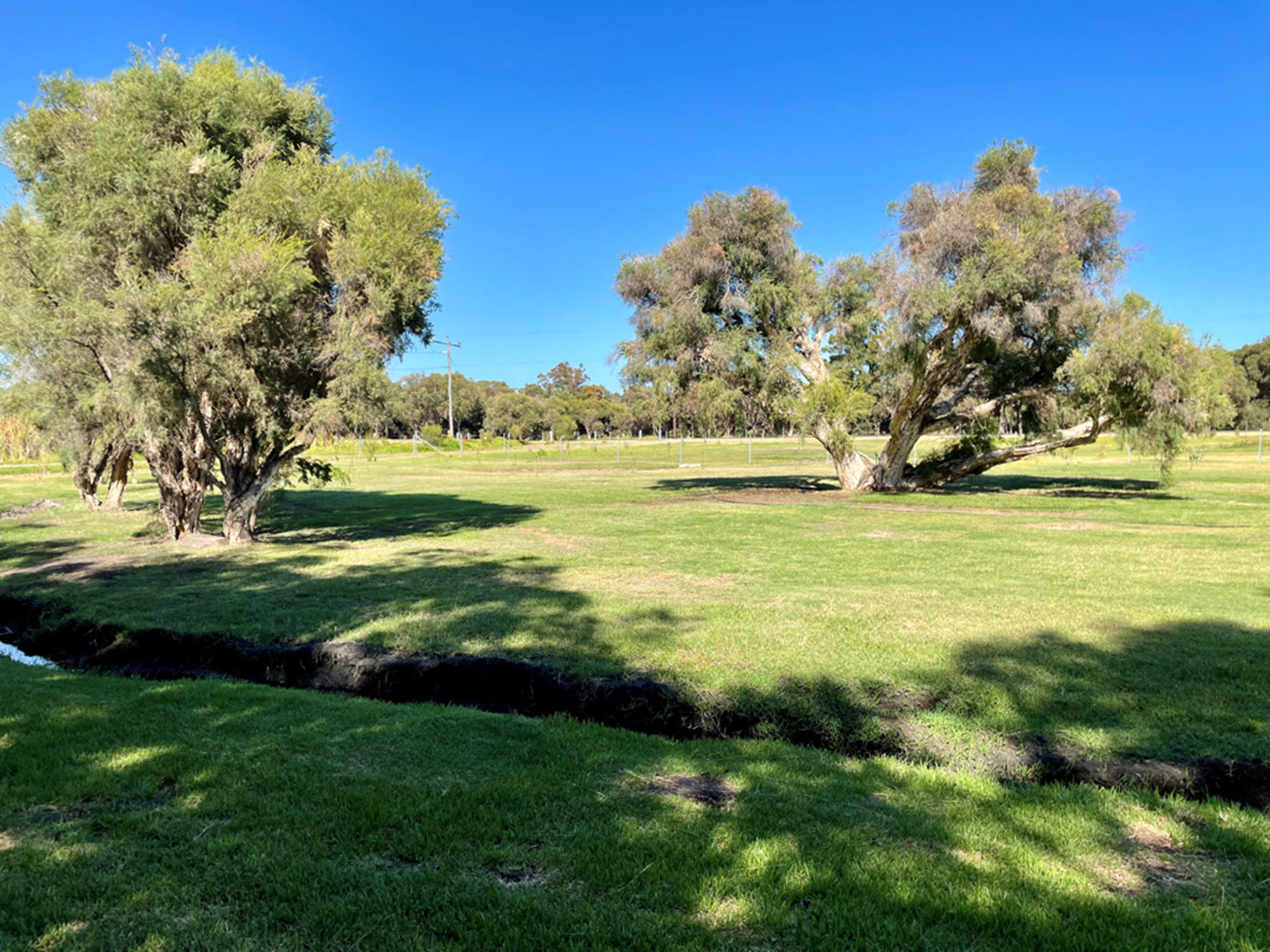 Paperbark Pond Camp: A new Farm Stay in Western Australia - Camps ...