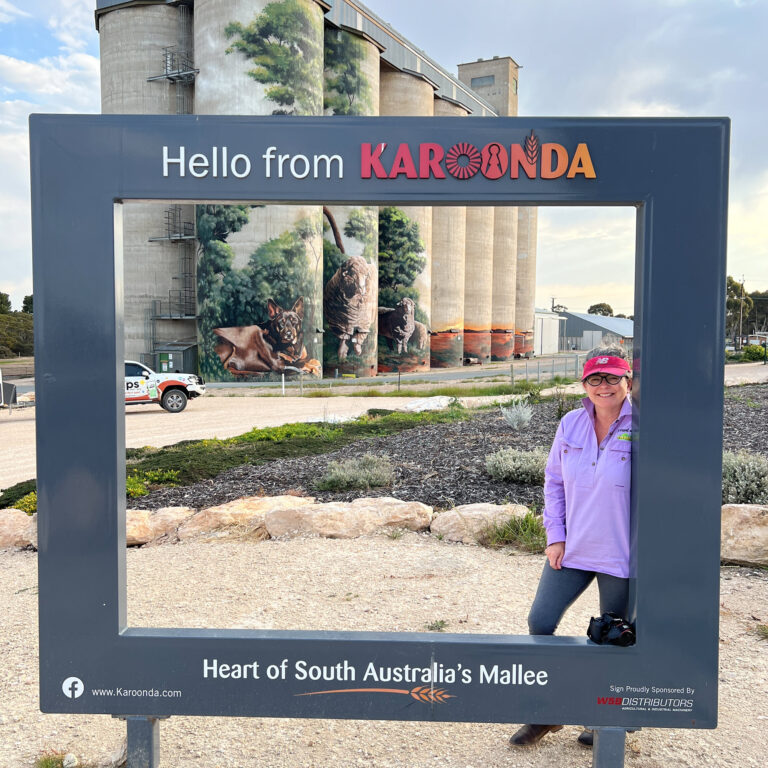 South Australia Archives - Camps Australia Wide