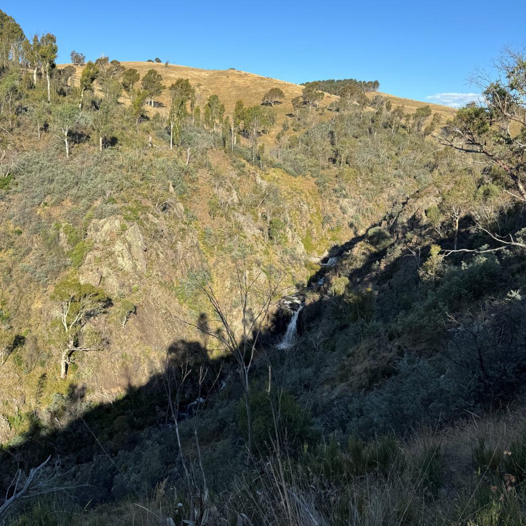 High country free camp: Victoria Falls, Victoria - Camps Australia Wide