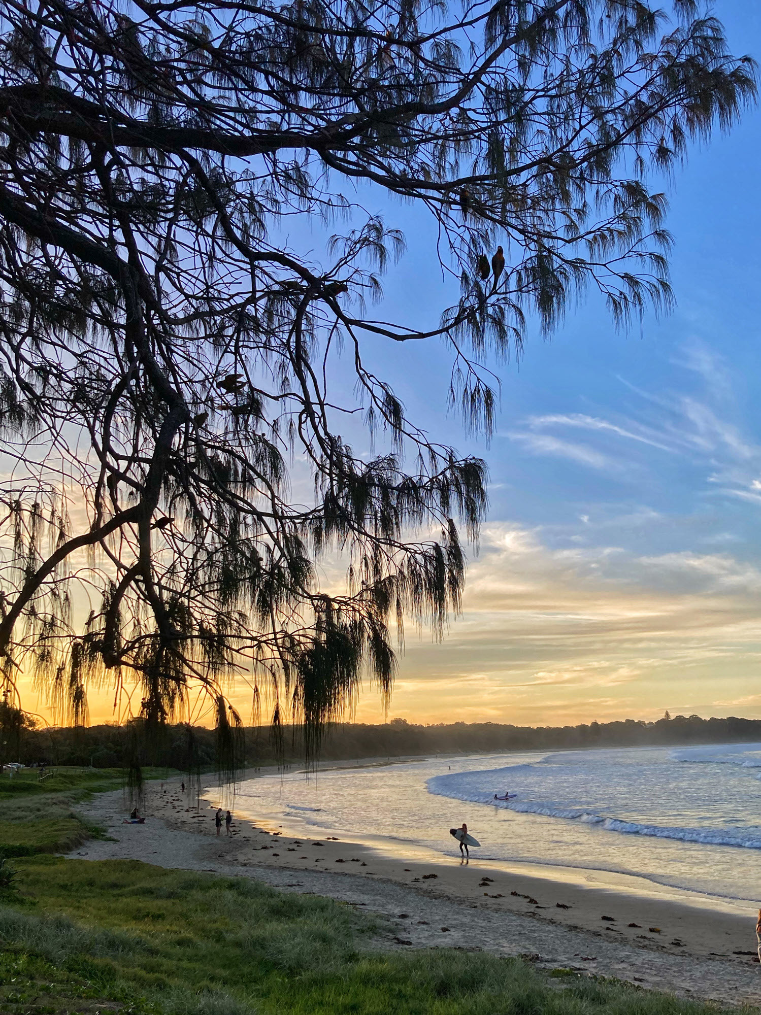 Local tips for things to see and do around Woolgoolga, New South Wales ...