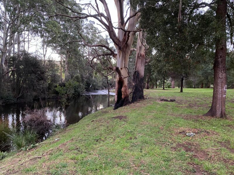 Relax at beautiful Blythe River, Tasmania - Camps Australia Wide