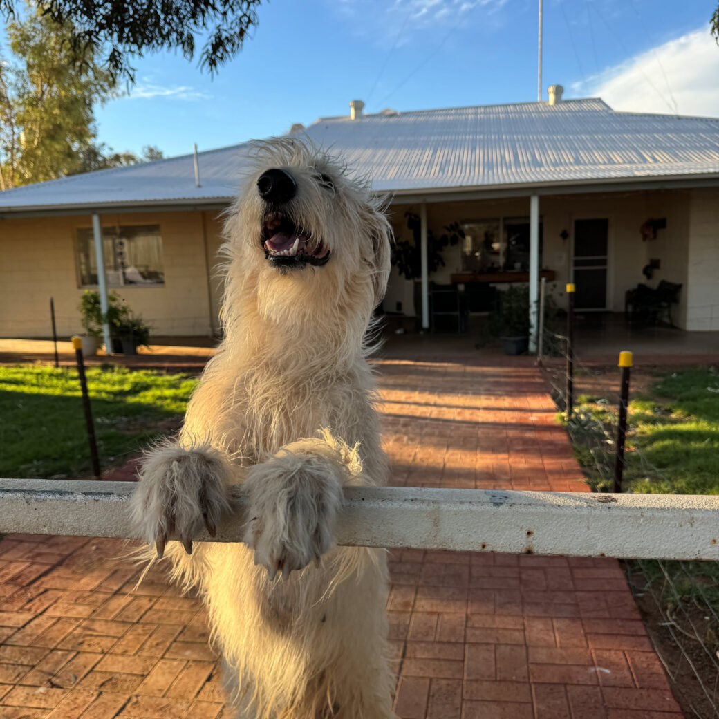 5 reasons to visit Arckaringa station on our across the centre of ...