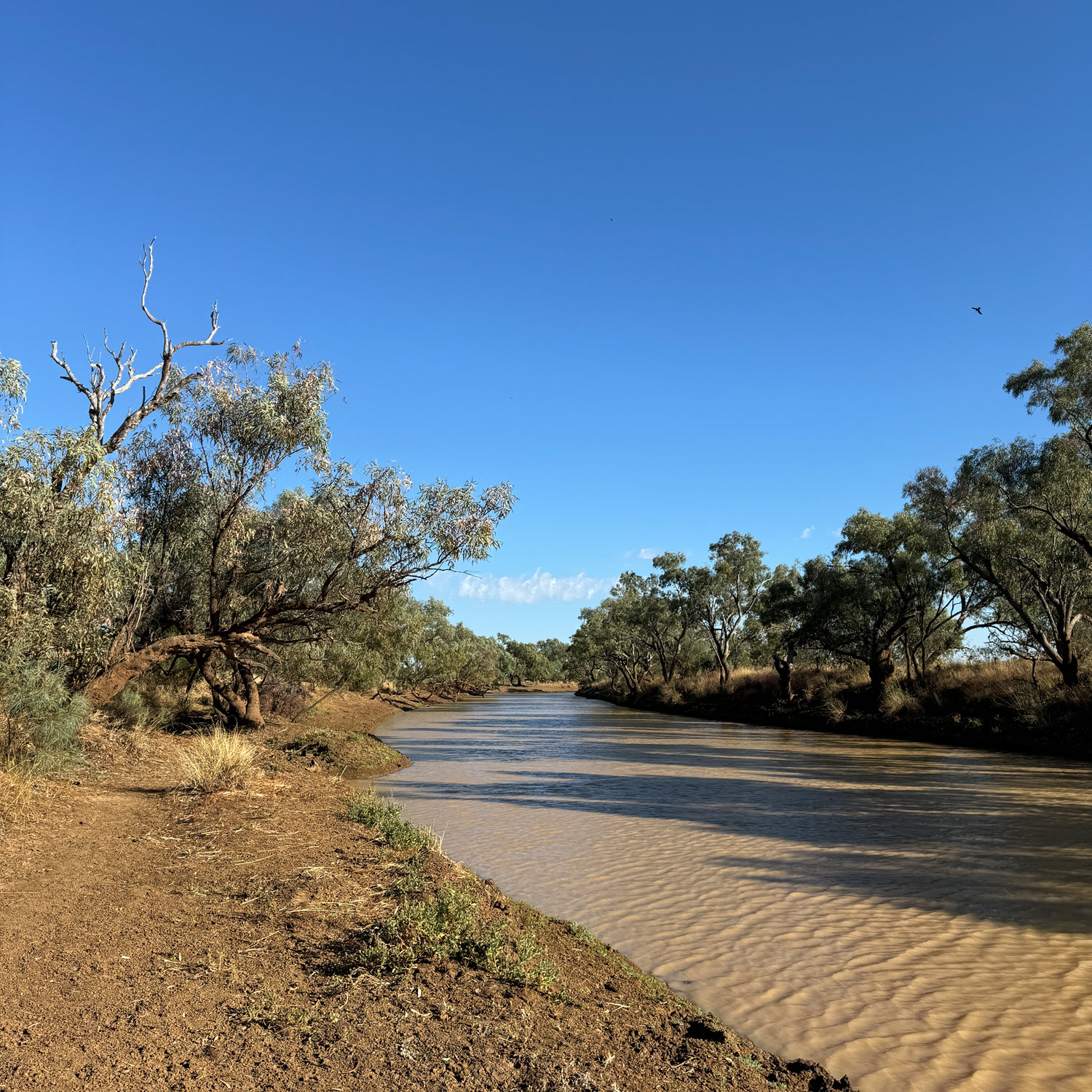 Blue Heeler Hotel, Kynuna is an Outback Queensland "must-do" - Camps ...