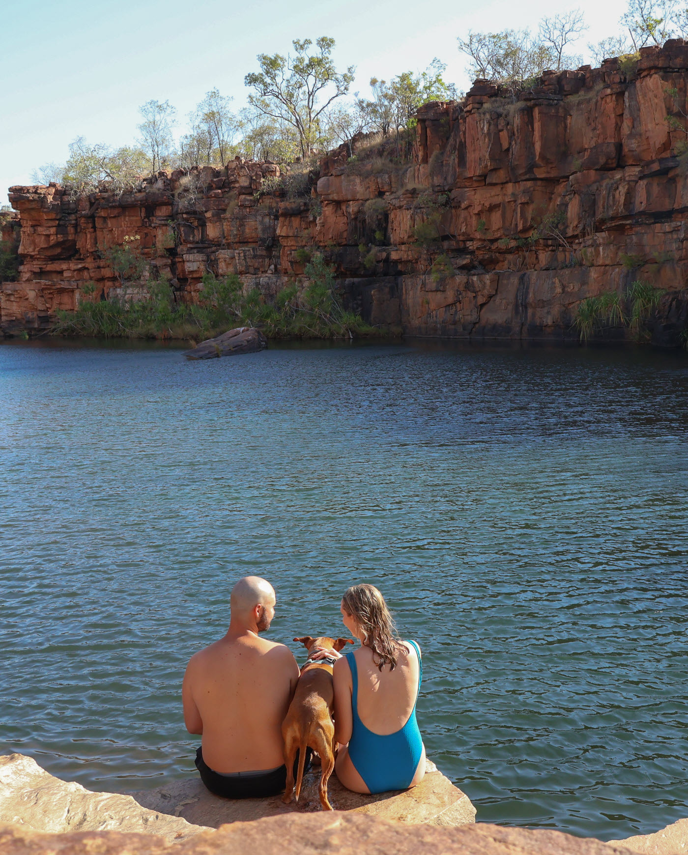 Can you camp along the Gibb River road with a dog - Camps Australia Wide