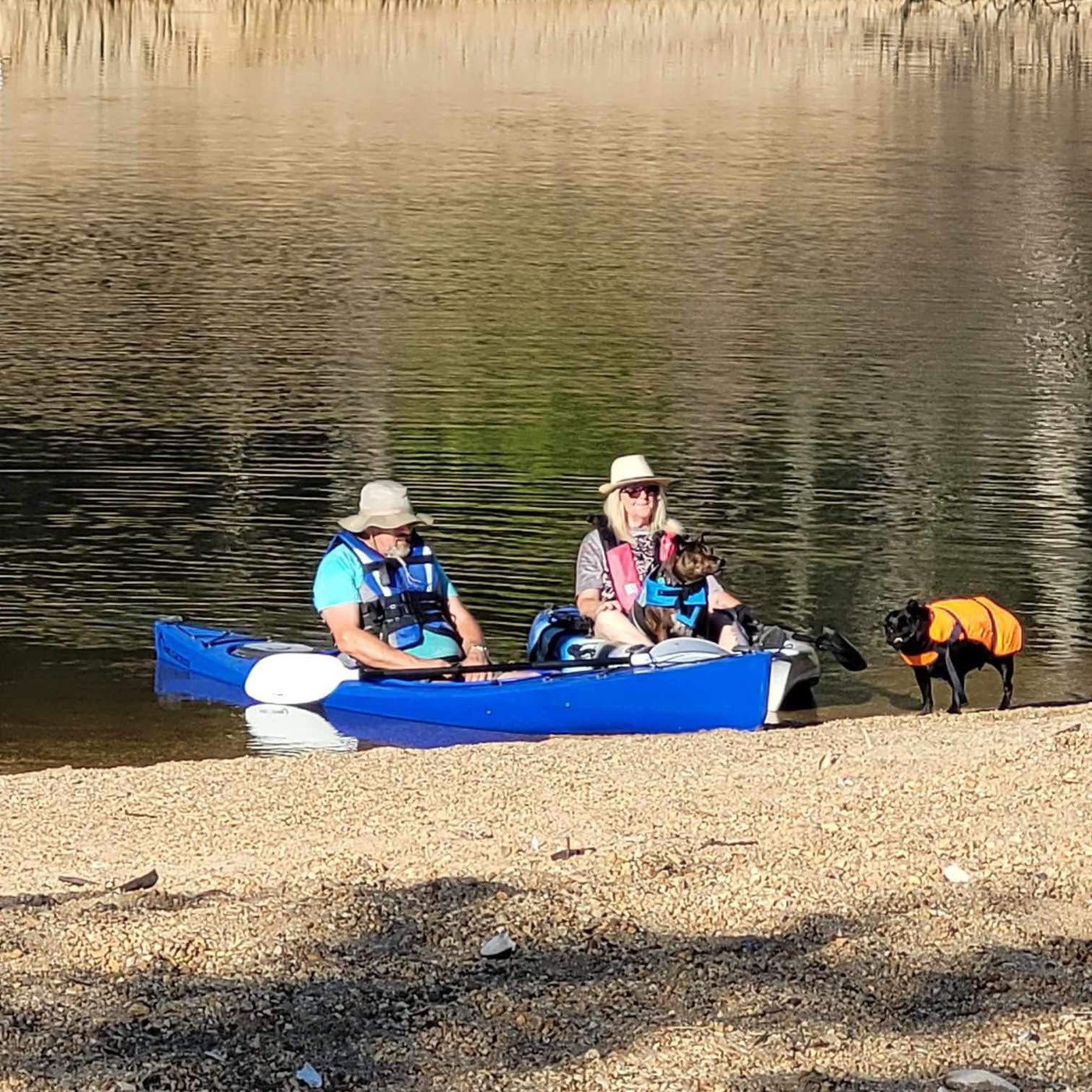 Be ‘camp ready’ for sunshine and summer holidays - Camps Australia Wide