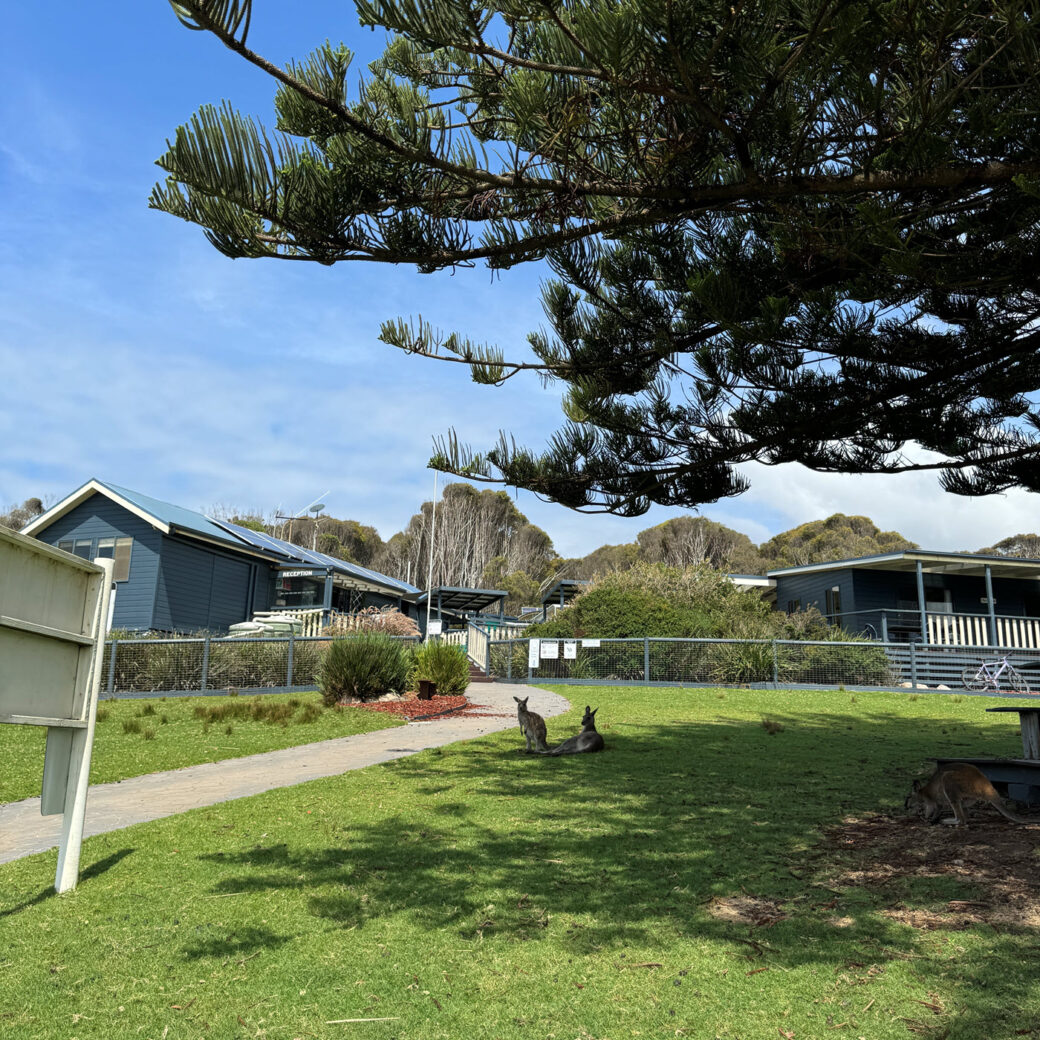 Favourite beach camp: Potato Point, New South Wales - Camps Australia Wide