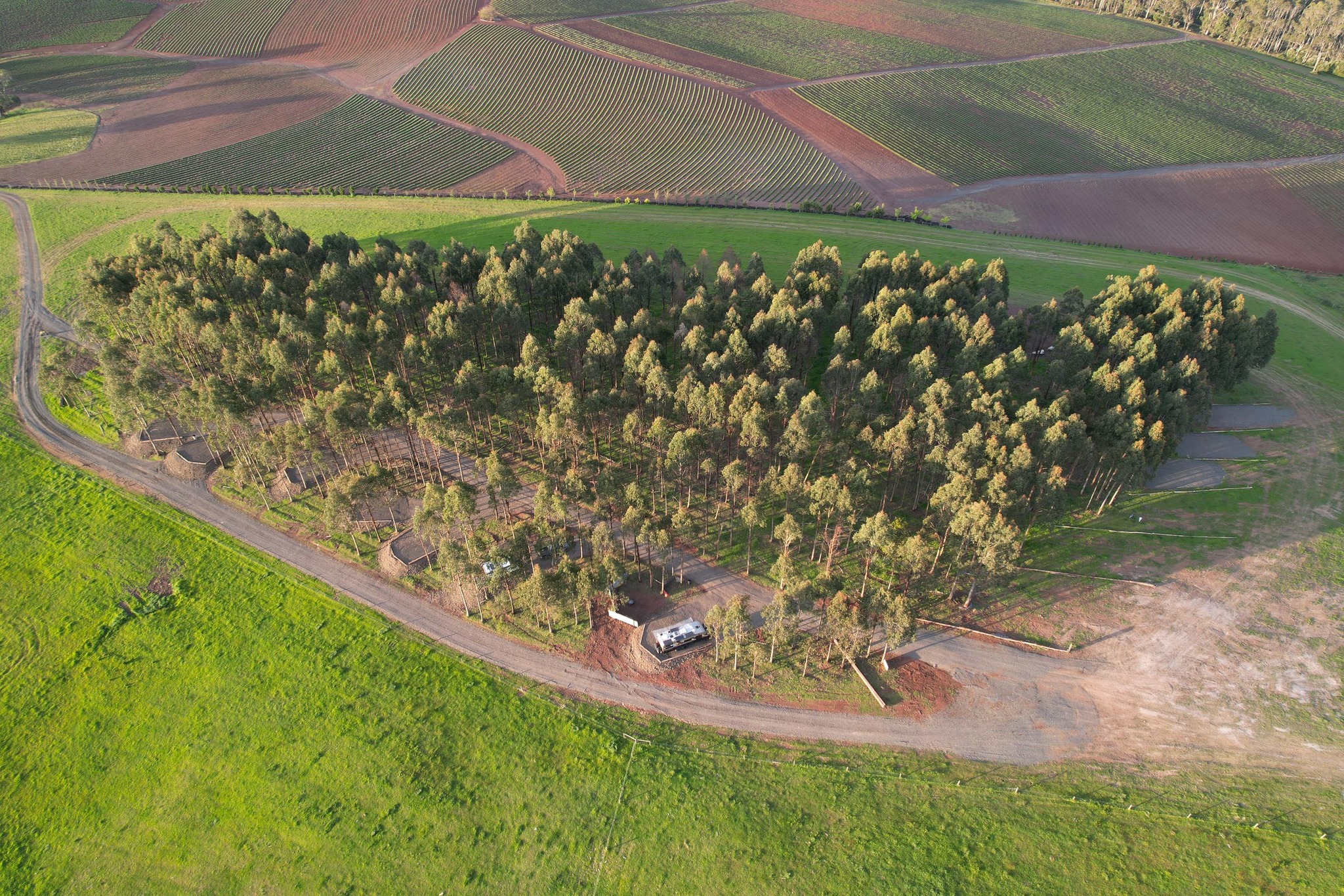 Mabel's Paddock - RV Farmstay in North East Tasmania - Camps Australia Wide
