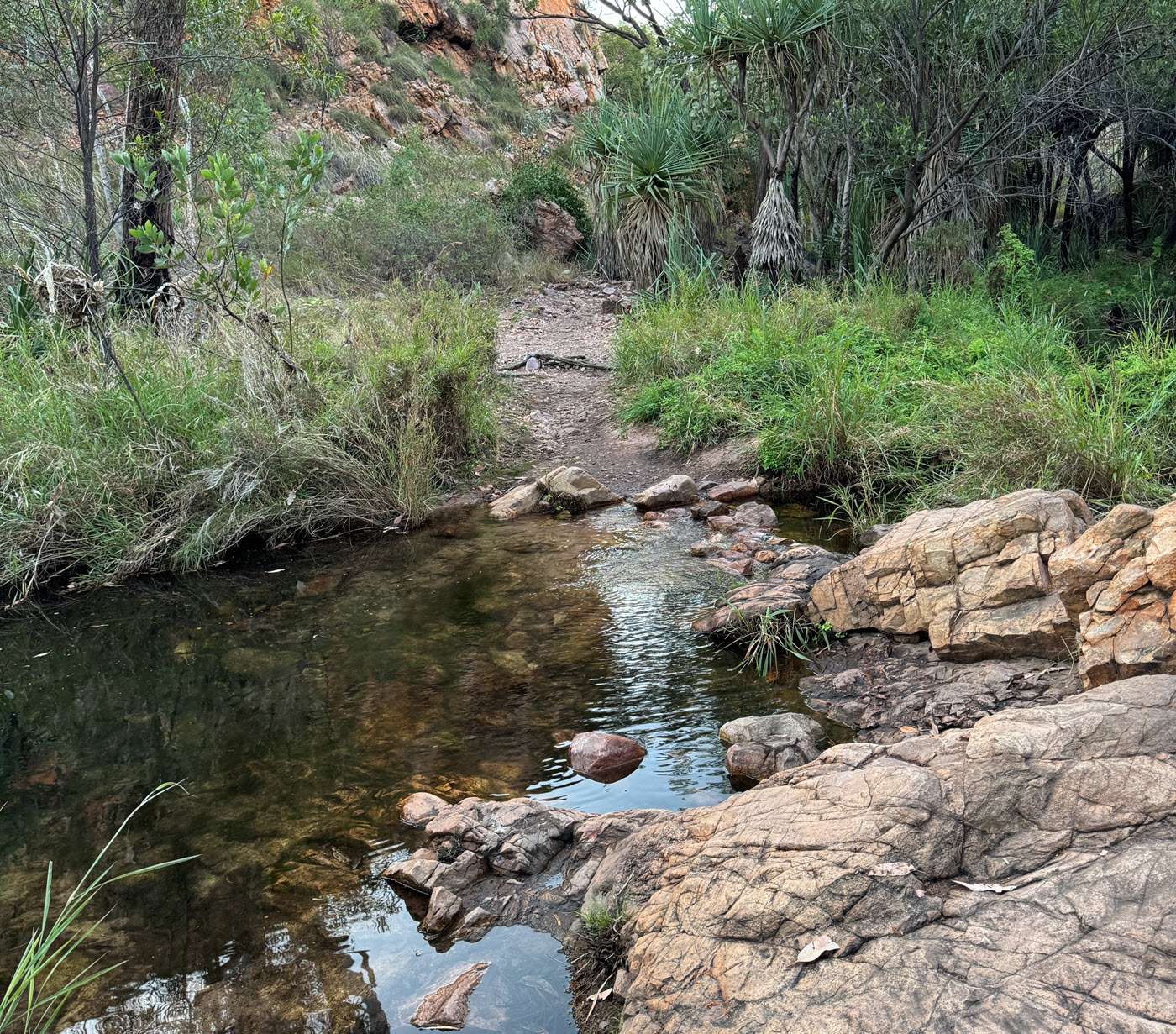 Don’t miss wild swimming at Kununurra’s waterfall and waterhole hidden ...