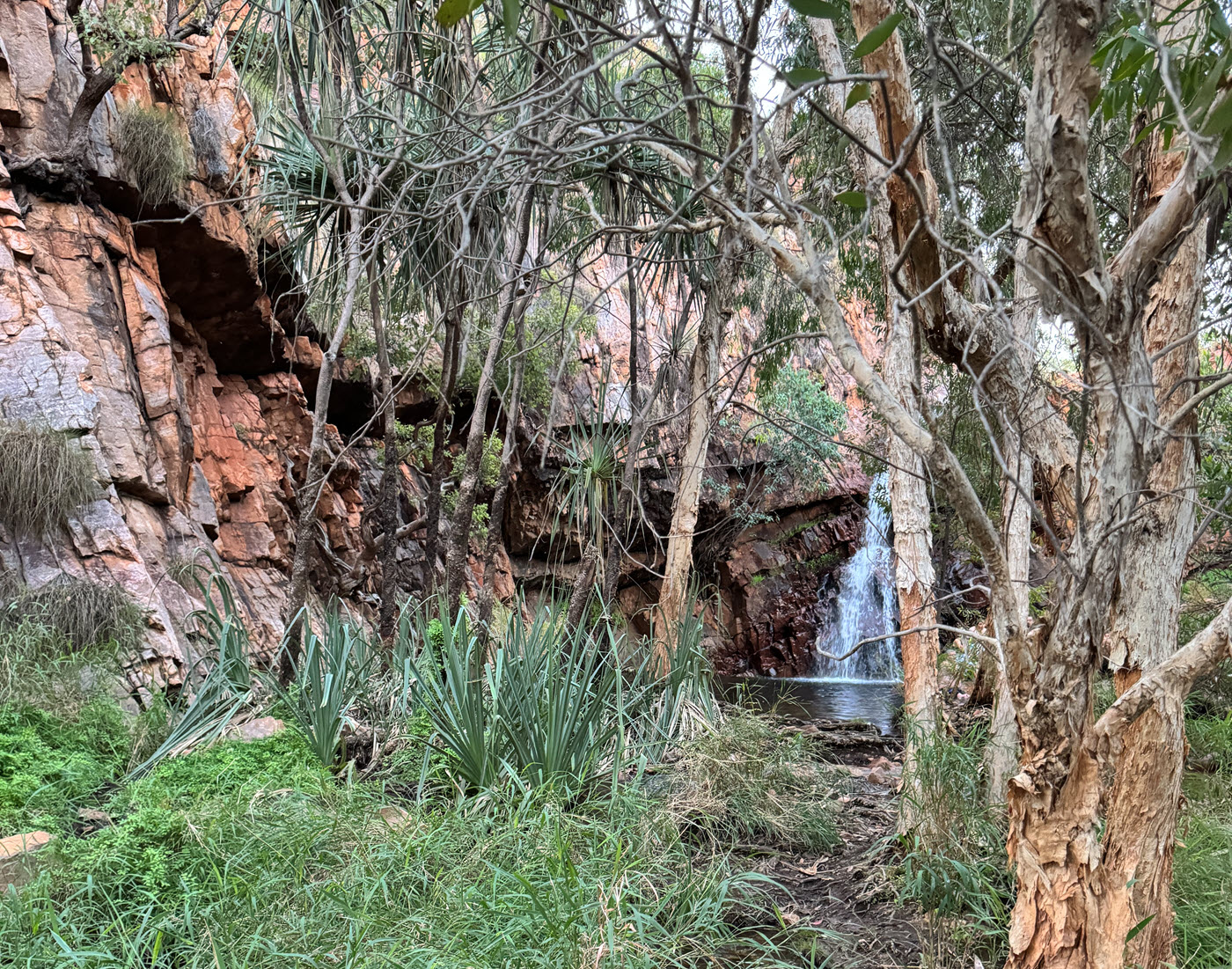 Don’t miss wild swimming at Kununurra’s waterfall and waterhole hidden ...