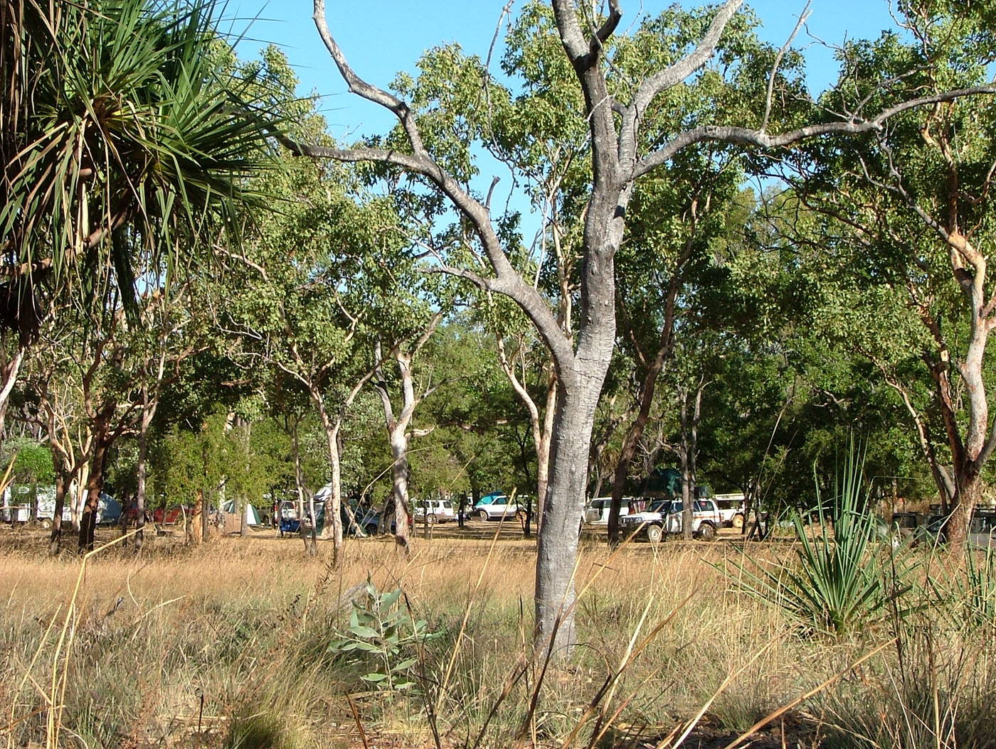 Gunlom Reopens: One of Kakadu’s Most Iconic Spots Welcomes Visitors ...