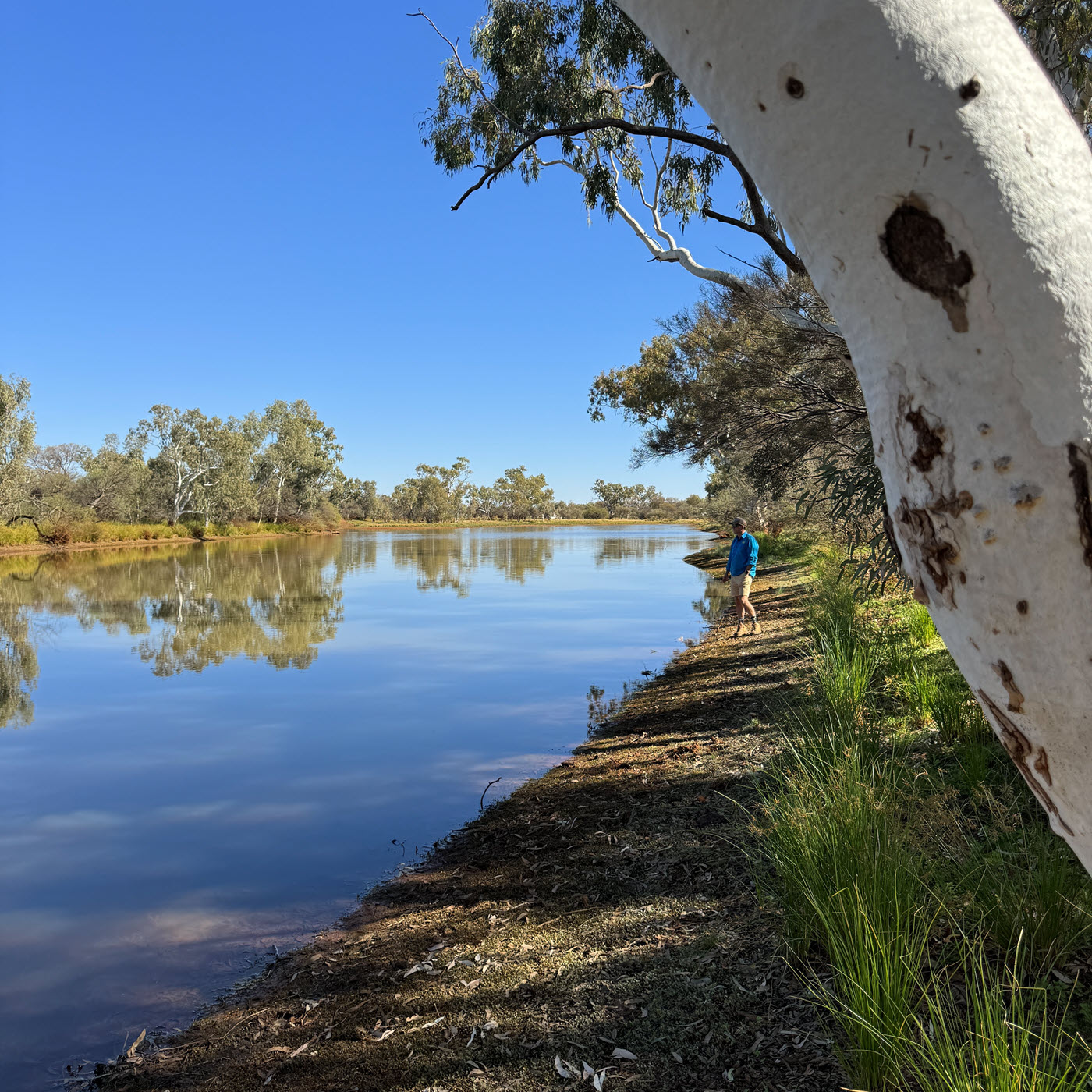GoRV Freedom Camp of the Month: Bilyuin Pool, Western Australia - Camps Australia Wide