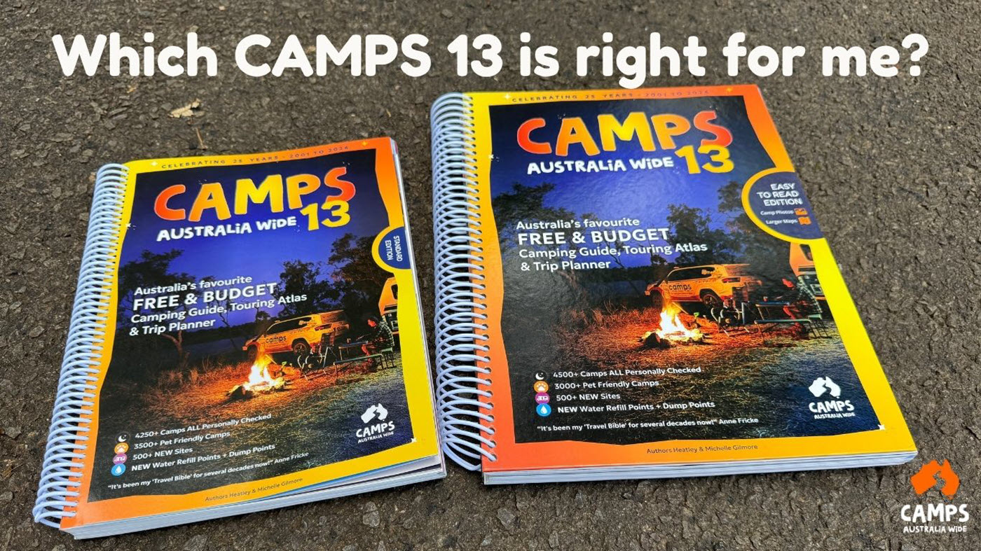 Choose the right CAMPS 13 guide for you: Standard vs Easy to Read ...