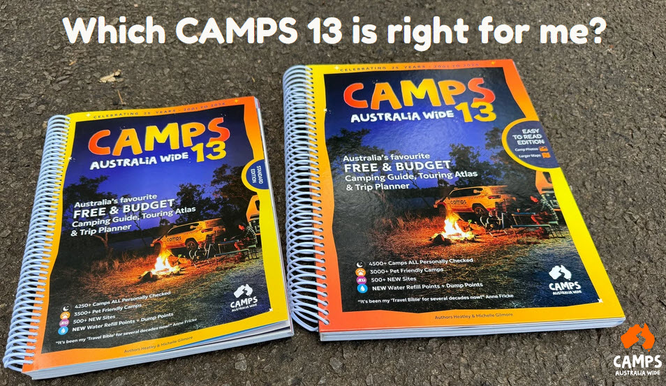 Choose the right CAMPS 13 guide for you: Standard vs Easy to Read ...